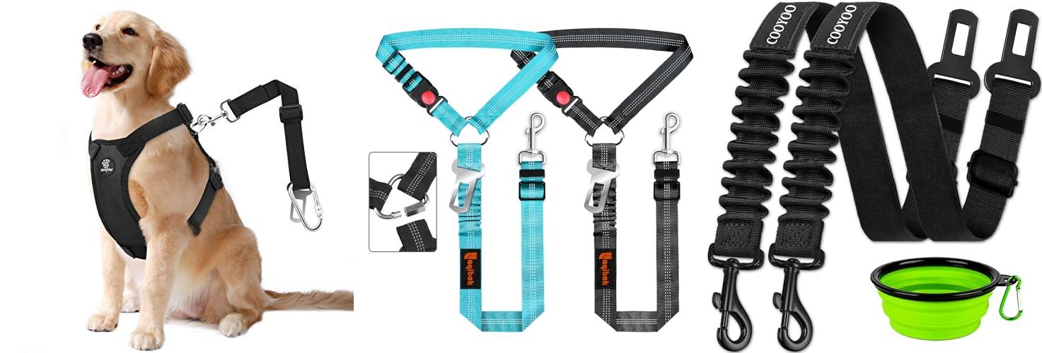 Top 5 Dog Car Safety Harnesses: Reviews & Buyer's Guide