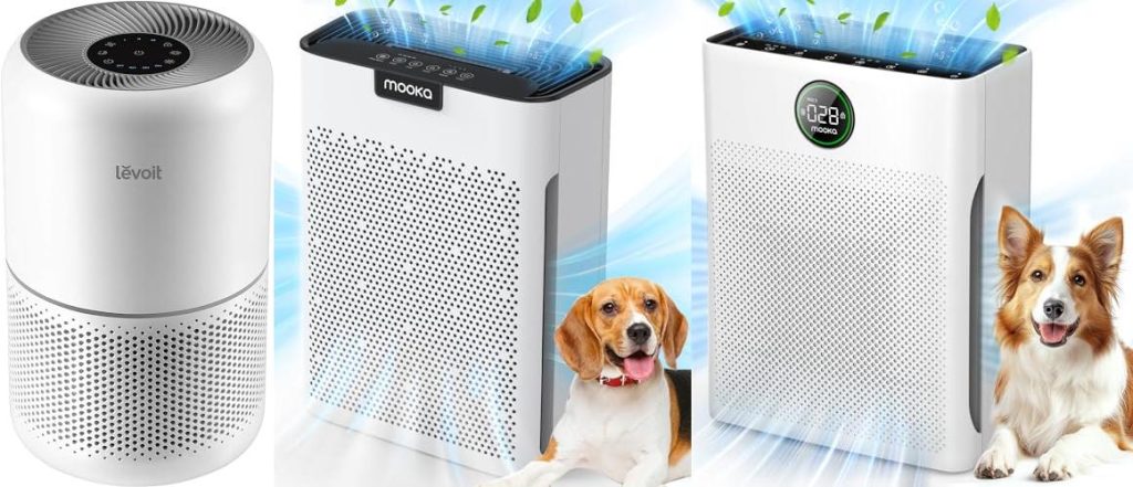 Top 5 Air Filter Home Picks: Your Buying Guide