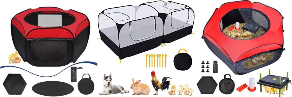 Top 5 Chicken Brooders: Your Essential Buying Guide