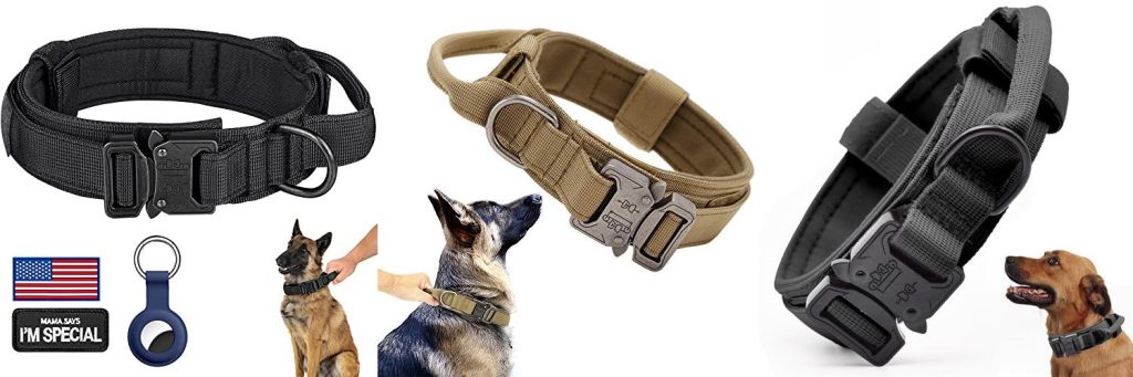 Top 5 Pitbull Collars: Essential Safety Guide