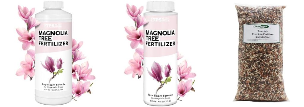 Best Fertilizer Magnolia Trees - Top 5 Picks & Review