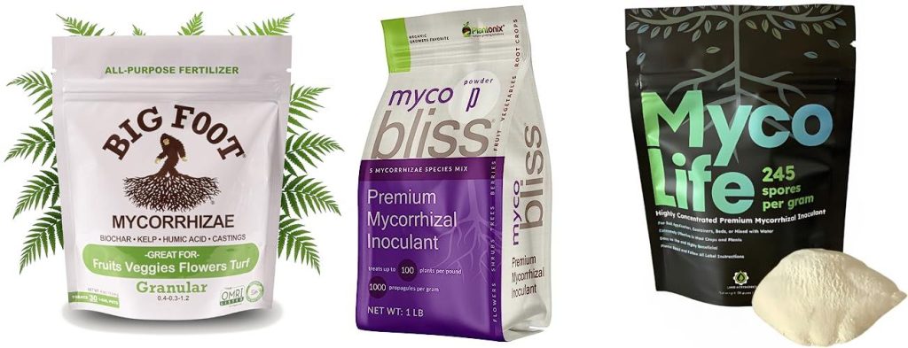 Top 5 Mycorrhizae For Plants: Best Picks Reviewed